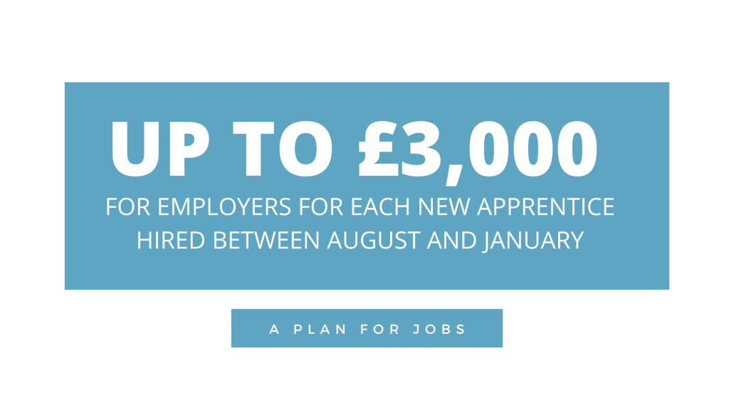 Brand-new bonus scheme for businesses to hire digital apprentices ...